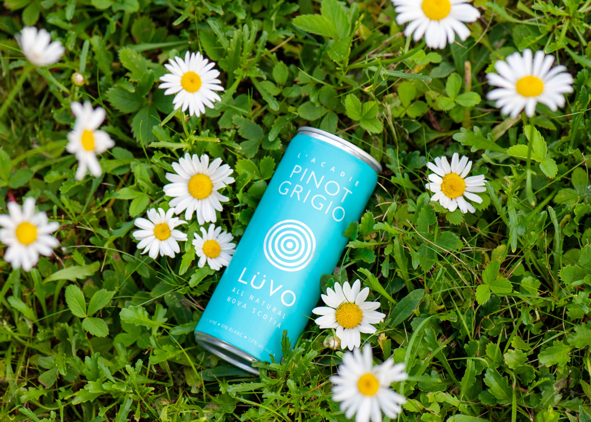 LÜVO Wine. 250ml cans. All natural, gluten-free, vegan